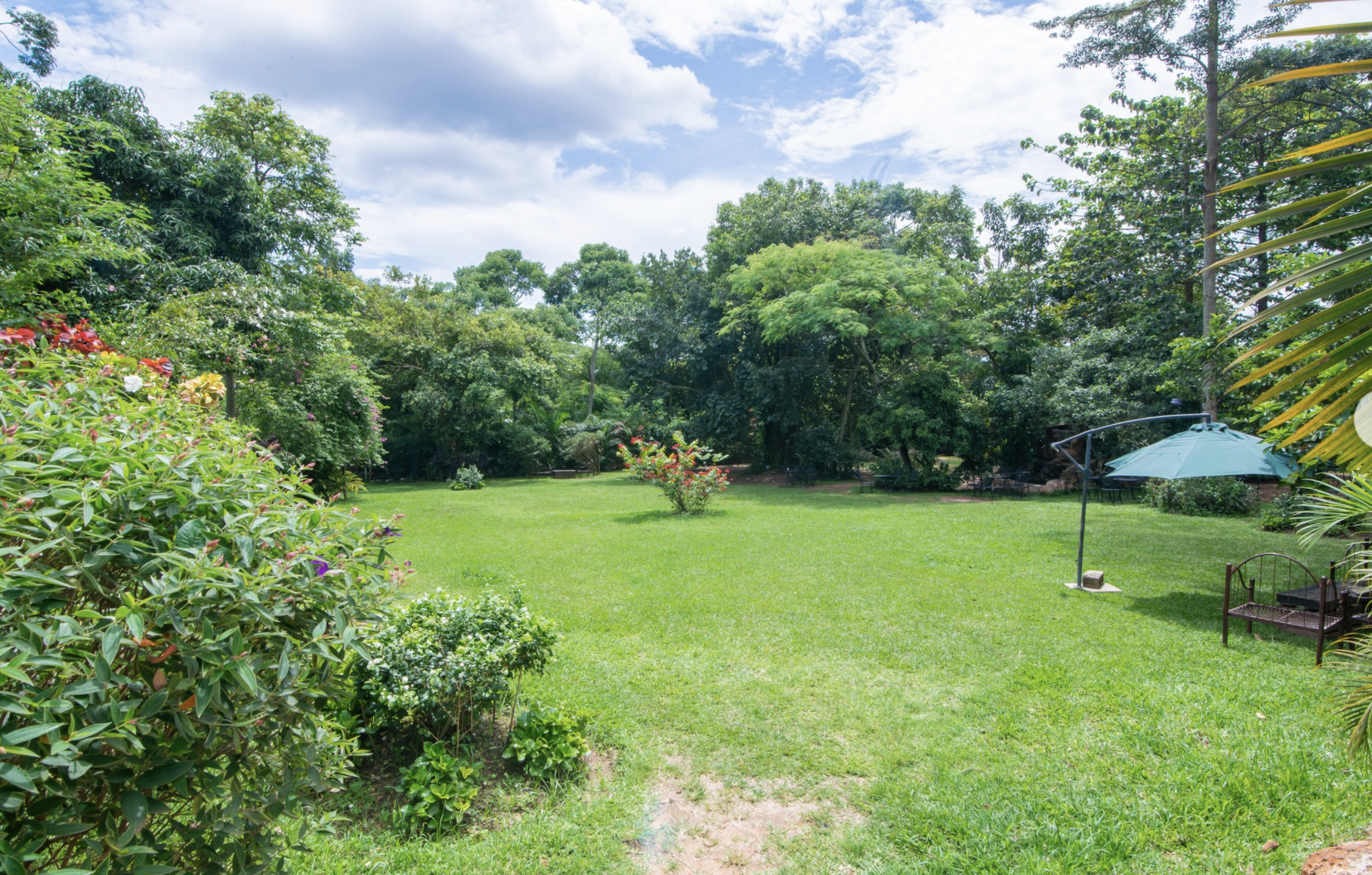 The Forest Resort Lweza | Luxury Retreat Between Kampala and Entebbe